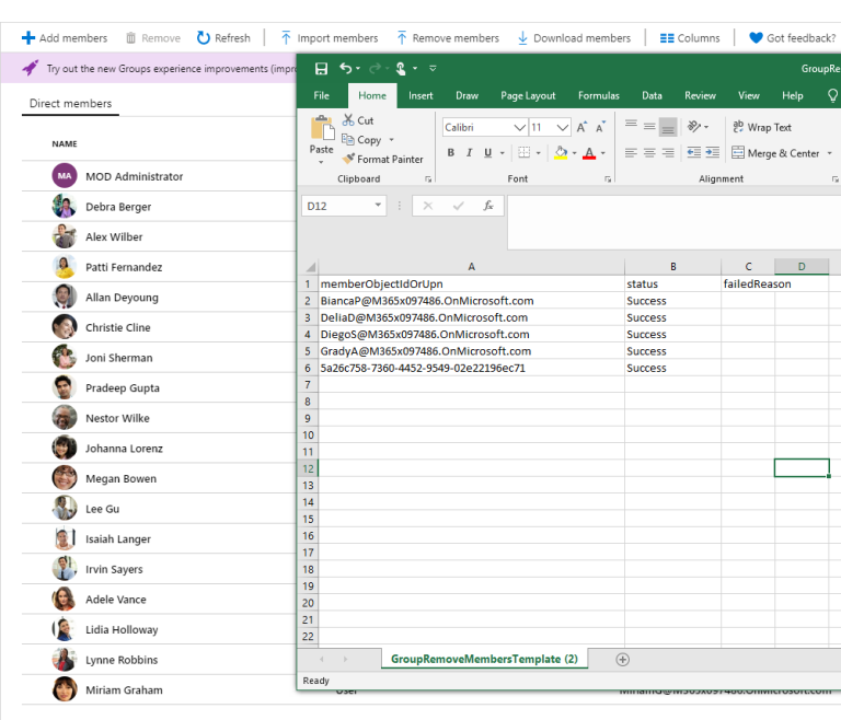 Step-by-Step Guide: Bulk import/remove group members from Azure Active Directory (Public Preview ...